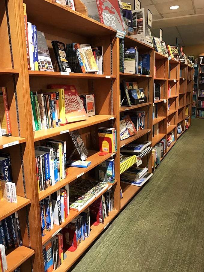 Wooden shelves standing at attention, spines aligned like literary soldiers. Each shelf a universe unto itself, organized chaos that somehow makes perfect sense.
