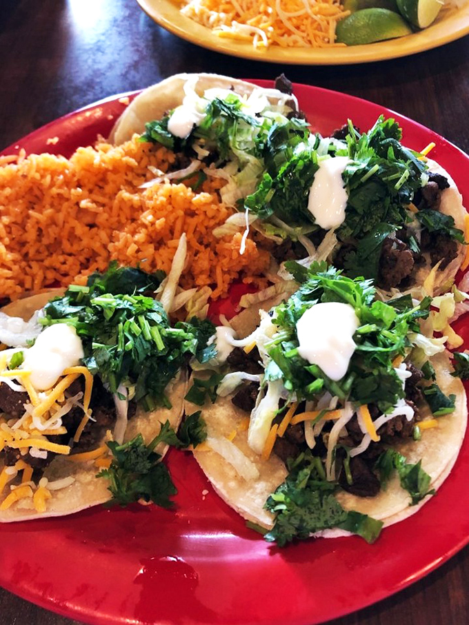 These aren't just tacos; they're tiny flavor festivals where cilantro, onion, and perfectly seasoned meat throw the party of the year.