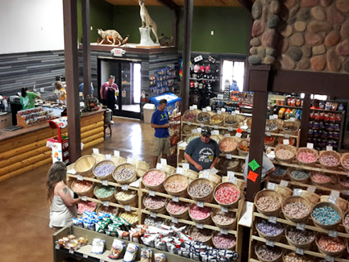Wooden baskets overflow with colorful candies, creating a pick-and-mix paradise. The taxidermy watching from above adds that touch of roadside oddity we've come to expect.