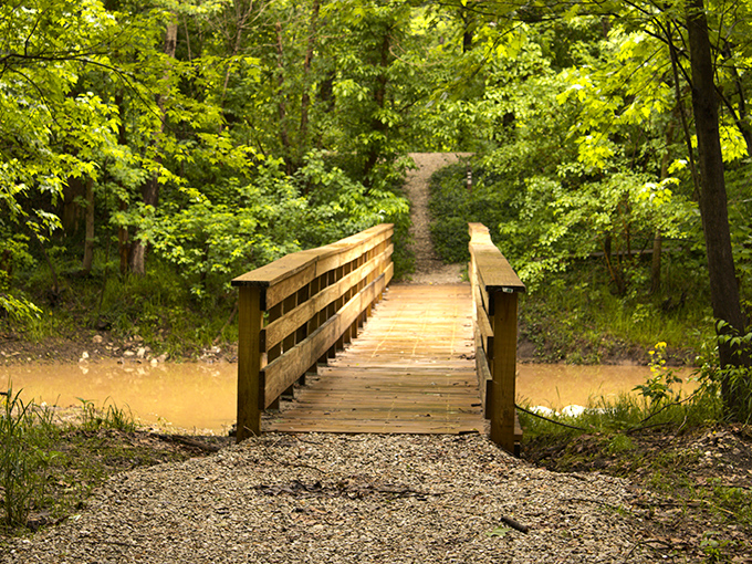 Not all who wander are lost, but this woodland bridge promises adventure whether you're channeling Thoreau or just escaping your email inbox.