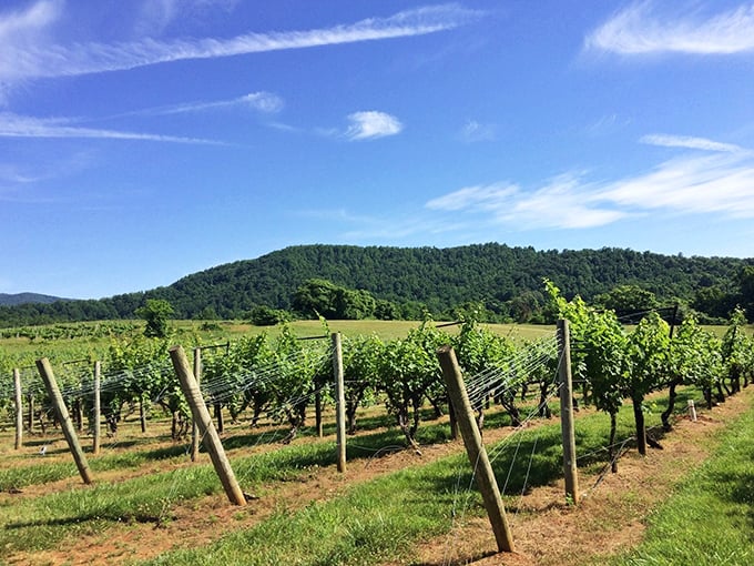 Rolling vineyards and a backdrop of lush mountains&mdash;wine tasting here isn&rsquo;t just an experience, it&rsquo;s a mood. Forget Napa; this is where the real wine lovers come to sip and stay awhile.