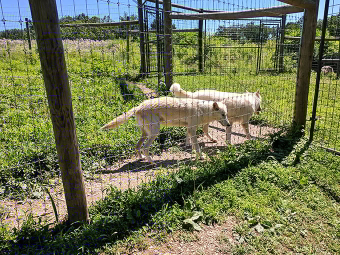 Bulls Head Public House epitomizes Lititz's charm&mdash;historic architecture outside, community gathering place inside, with sidewalk seating perfect for people-watching.