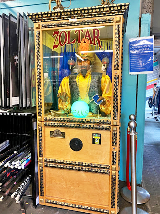 Eclectic shelving displays everything from vintage kitchenware to quirky collectibles &ndash; each shelf a miniature museum of American pop culture. 