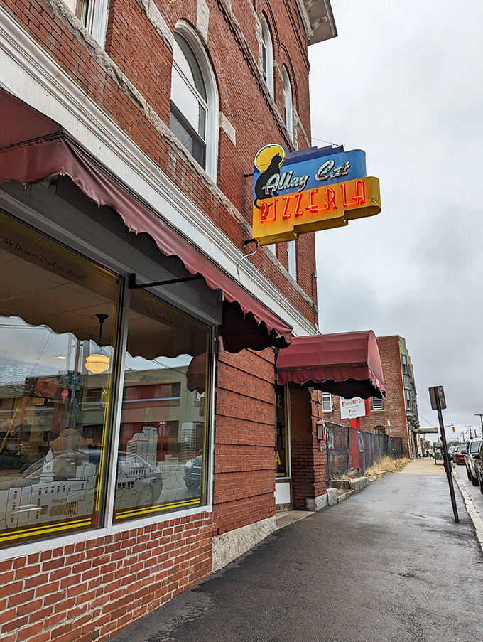 Alley Cat's neon sign glows like a pizza bat-signal, calling hungry Manchesterites to gather for slices of urban perfection.