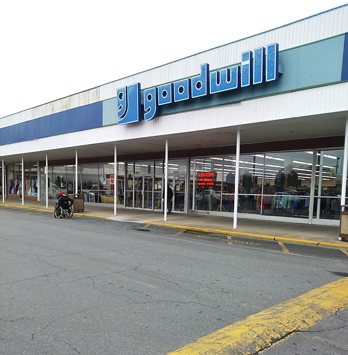 Goodwill's blue-trimmed empire stands ready to fulfill your secondhand dreams. The Godzilla of Delaware thrift stores&mdash;massive, powerful, impossible to ignore.