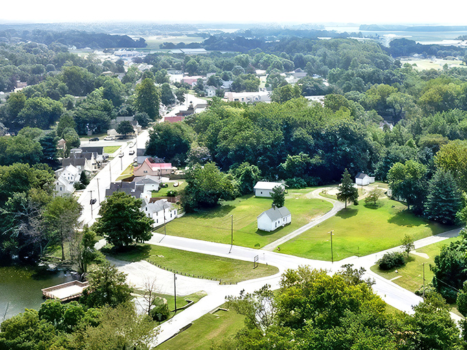 Laurel's town center emerges from its green canopy&mdash;a community nestled in nature's loving embrace.