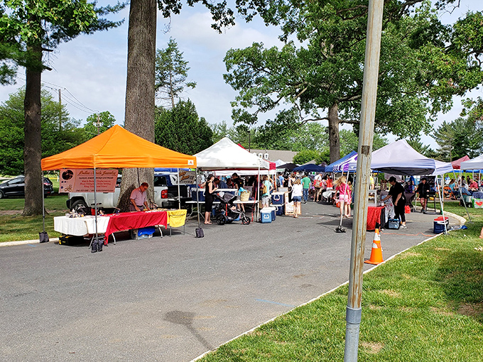 Olney's market transforms asphalt into a vibrant community canvas. Those colorful tents house both art and necessity.