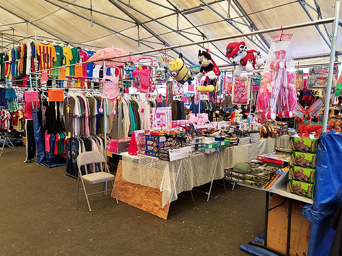 San Jose Flea Market: A colorful maze where tacos and treasures compete for your attention and wallet.