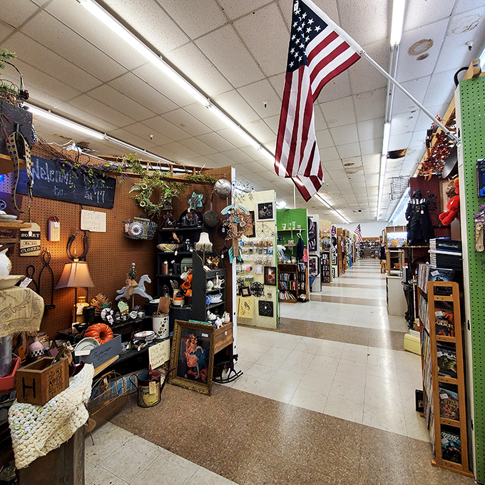 Under fluorescent lights, Mike's transforms ordinary collectibles into museum-worthy displays that tell America's story through its objects.