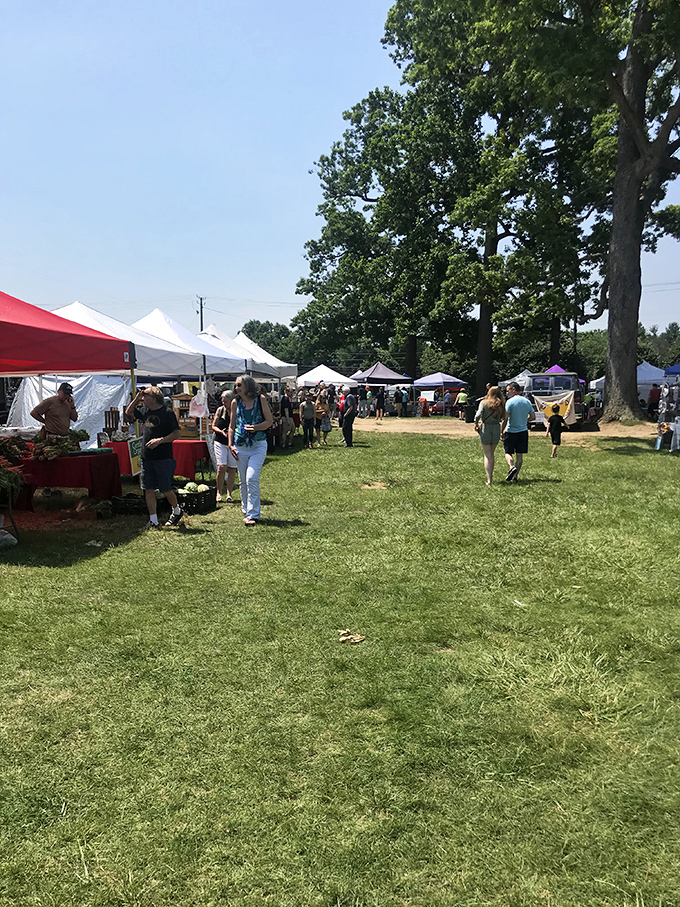 Under summer skies, shoppers meander between stalls like bees in a garden. Every conversation potentially leads to discovery.