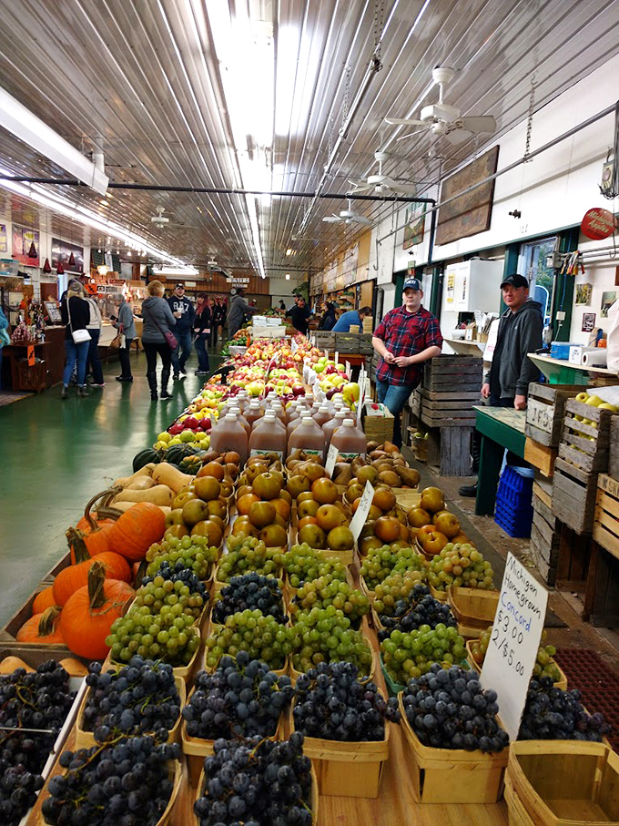 Inside South Bend Farmer's Market, where conversations flow as freely as the fresh apple cider and everyone leaves with a story.