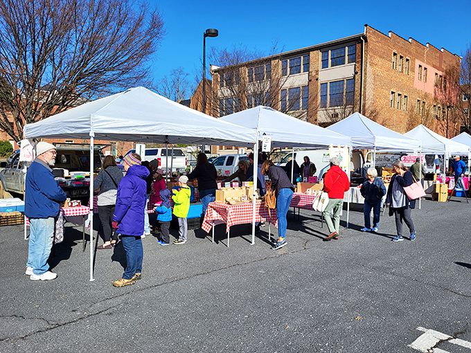 White tents against blue skies &ndash; Staunton's market creates the perfect setting for conversations that begin with "Where did you find that?"