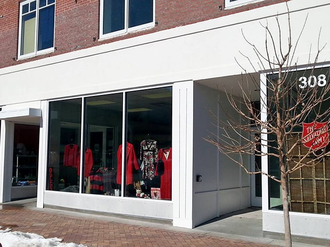 Winter's bare branches frame The Salvation Army's window displays like a Norman Rockwell painting with better prices.