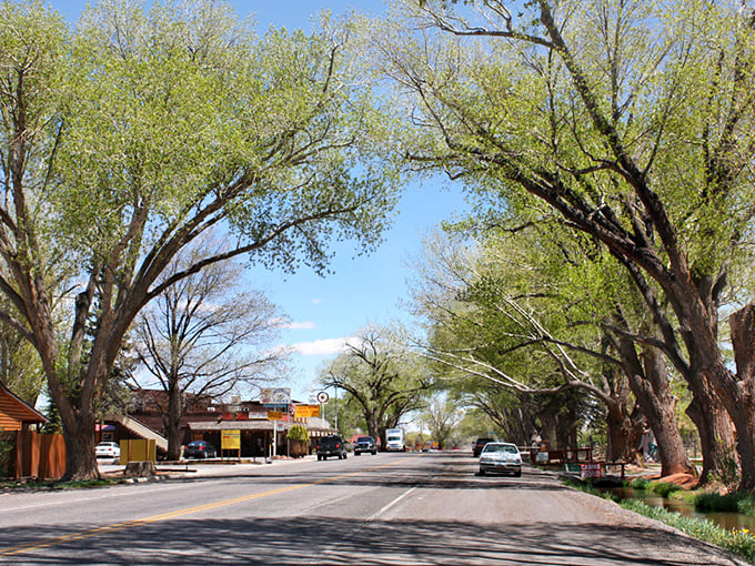 Torrey's tree-lined main street &ndash; where cottonwoods stand guard like ancient sentinels protecting the gateway to Capitol Reef. 
