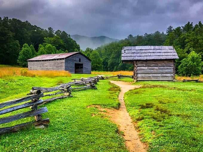 The autumn colors in Townsend put on a show so spectacular it makes professional painters question their career choices.