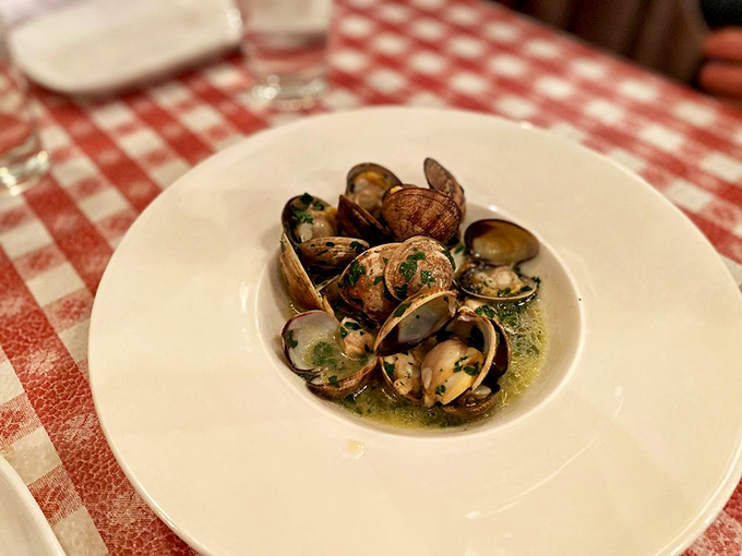 Clams bathed in garlic butter, ready for their close-up. Like a seafood spa treatment you get to eat afterward.