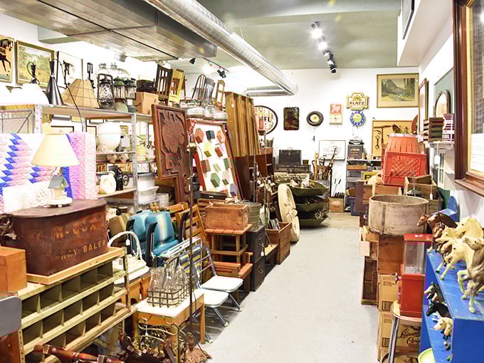 A treasure hunter's paradise where every shelf holds potential discoveries. The organized chaos is part of the charm.