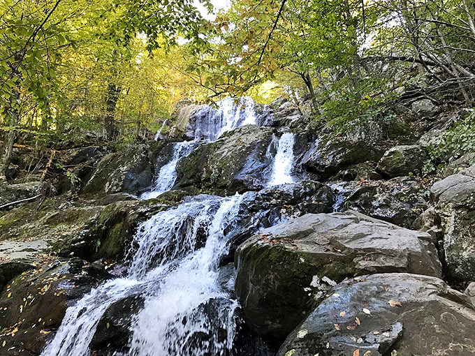 White Oak Canyon Falls doesn't just flow&mdash;it performs. Nature's version of a multi-tiered water feature that makes your garden center fountain look like a leaky faucet.