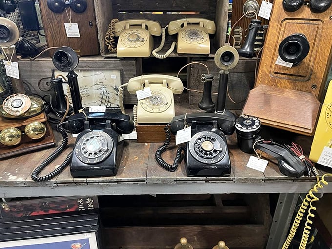 A legion of rotary phones stands at attention, each one silently asking, "Remember when you had to stay in one spot to talk?"