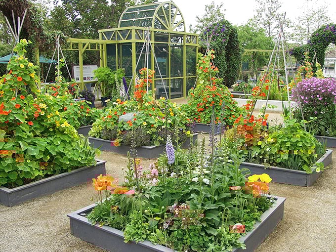 The demonstration garden showcases what's possible when plant enthusiasts get serious. Your houseplants are now officially judging you.