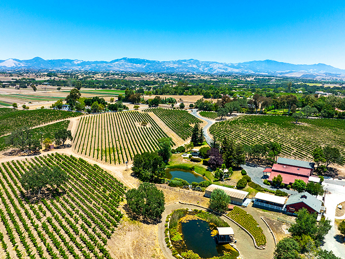Beckmen Vineyards showcases what heaven might look like if angels were really into sustainable agriculture and panoramic views that make phones weep.