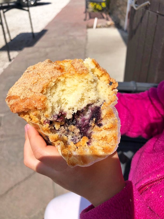 A blueberry muffin with a sugar-crusted top that shatters like delicious glass. Those purple pockets of fruit are little flavor bombs waiting to explode.