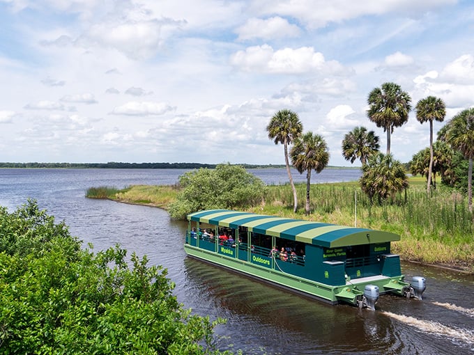 All aboard the floating classroom! Myakka's iconic boat tours offer front-row seats to Florida's wild theater, no overpriced tickets required.