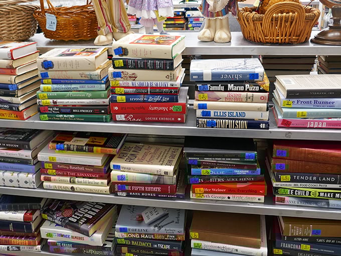 Literary treasures stacked in glorious abundance. From beach reads to classics, these pre-loved pages offer worlds of adventure for pocket change.