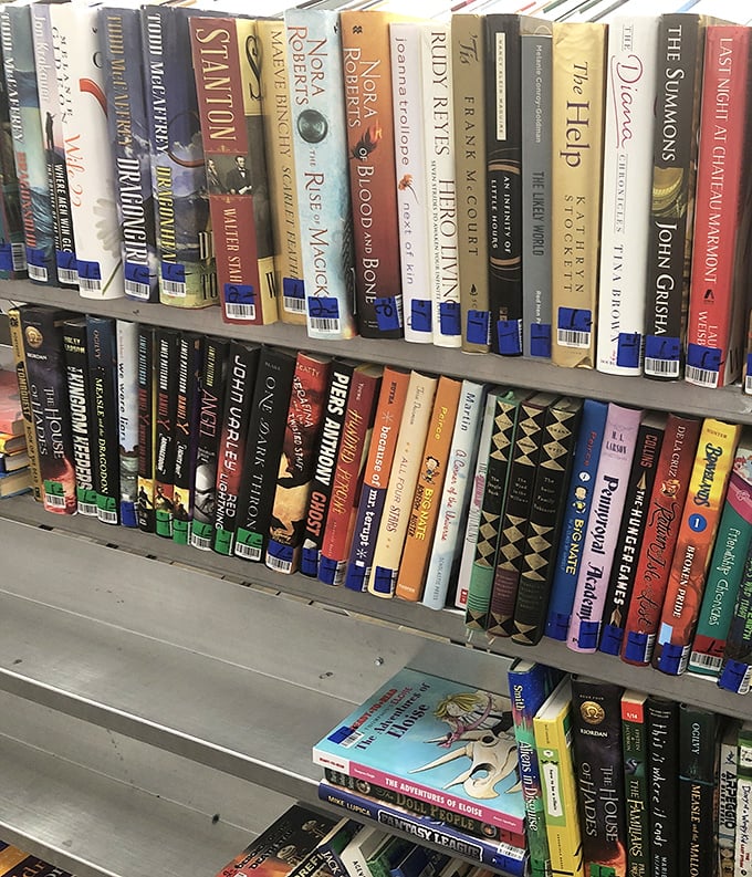 Literary treasures lined up like old friends at a reunion, spines straight, stories intact, waiting for new eyes.