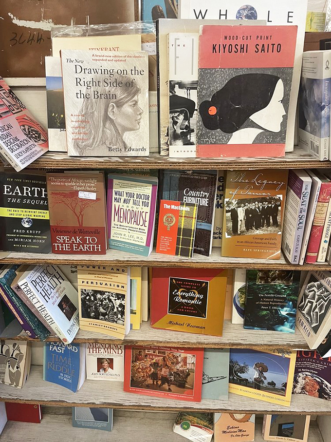 Books stacked with wisdom and whimsy&mdash;from drawing techniques to menopause advice. Knowledge preserved, spines barely cracked.