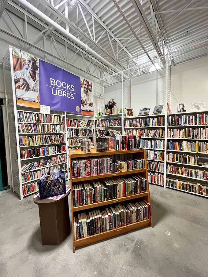 Bibliophiles beware &ndash; you'll need a bigger bookshelf after visiting this literary corner where bestsellers and forgotten classics live in perfect harmony.