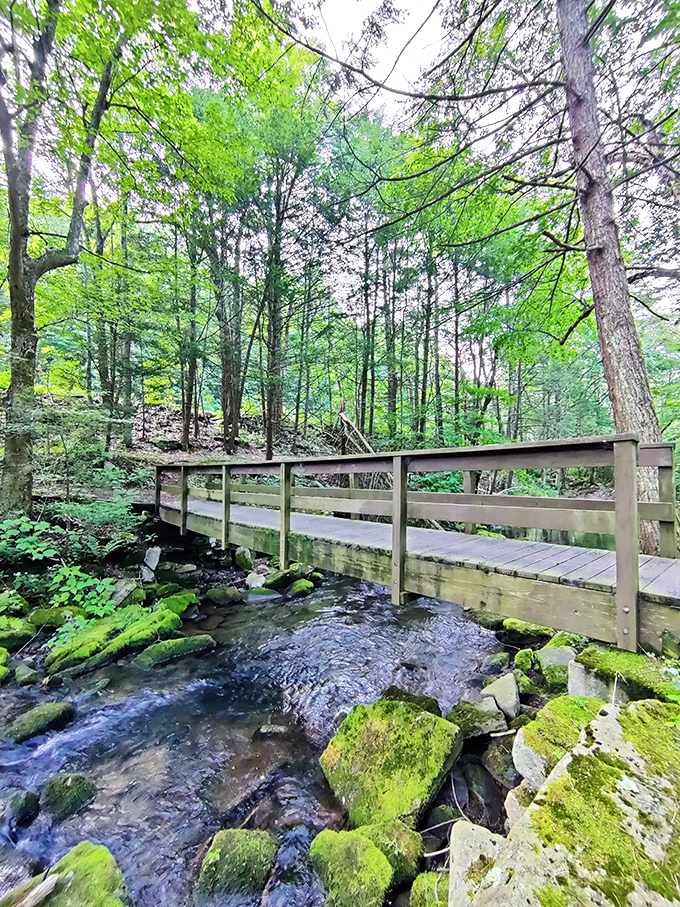 This humble wooden bridge connects not just two sides of a stream, but city life to wilderness therapy.