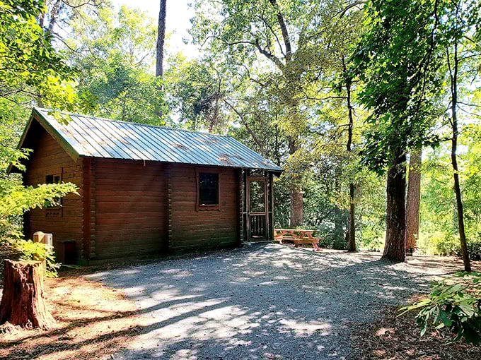 Cabin in the woods without the horror movie plot twist. Just you, some logs, and enough tranquility to make your blood pressure visibly drop.