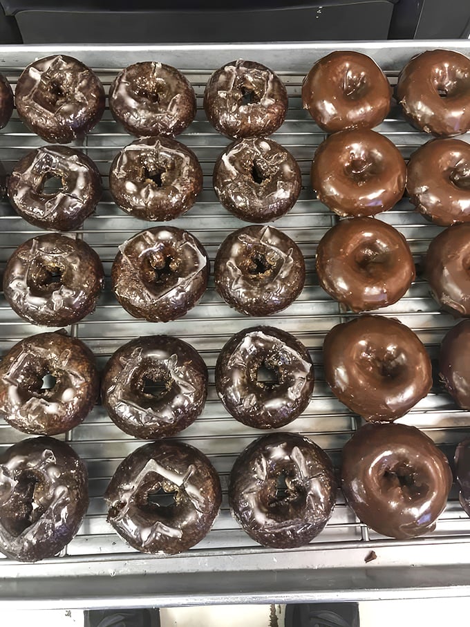 Chocolate lovers, your moment has arrived. These glossy, cocoa-covered treasures make ordinary chocolate donuts look like they're not even trying.