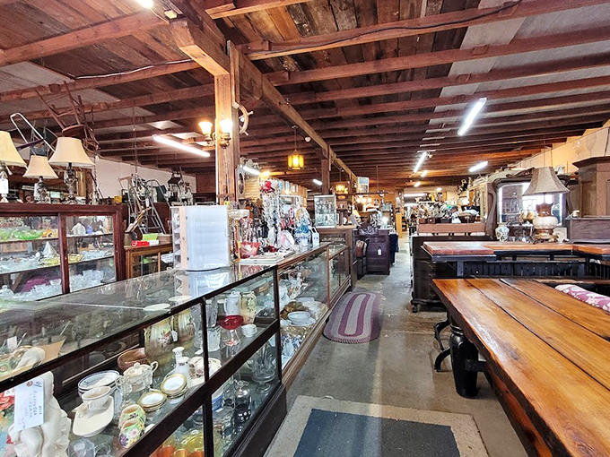 Where history meets function. These glass display cases house smaller treasures while wooden counters bear the patina of countless transactions and stories shared.