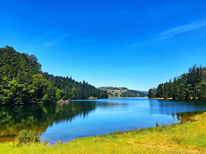 Alpine Lake perfection: where crystal waters mirror the surrounding pines, creating a double dose of serenity that no meditation app could ever replicate.