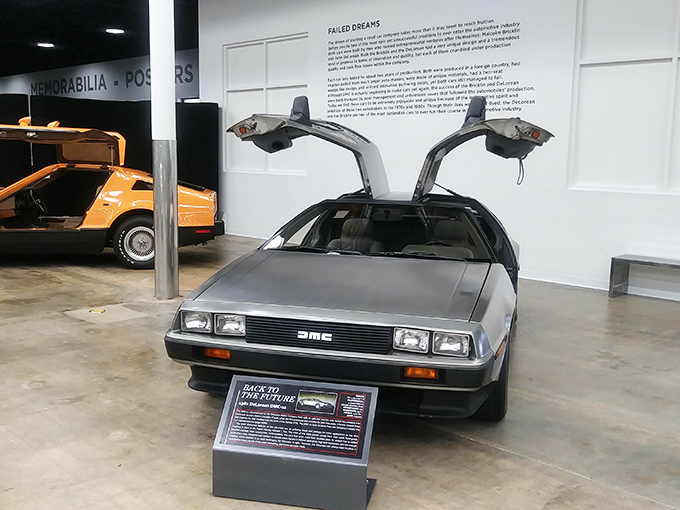 Great Scott! The DeLorean's stainless steel body and gull-wing doors still look like they're from the future, even though they're from our past. 