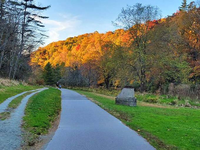 Autumn in Boone transforms ordinary walking paths into golden-hued runways where even amateur photographers become temporary landscape artists.