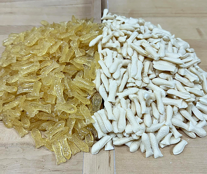 These colorful candy fish are swimming in formation, waiting to be caught by eager hands and dissolved in delighted mouths.