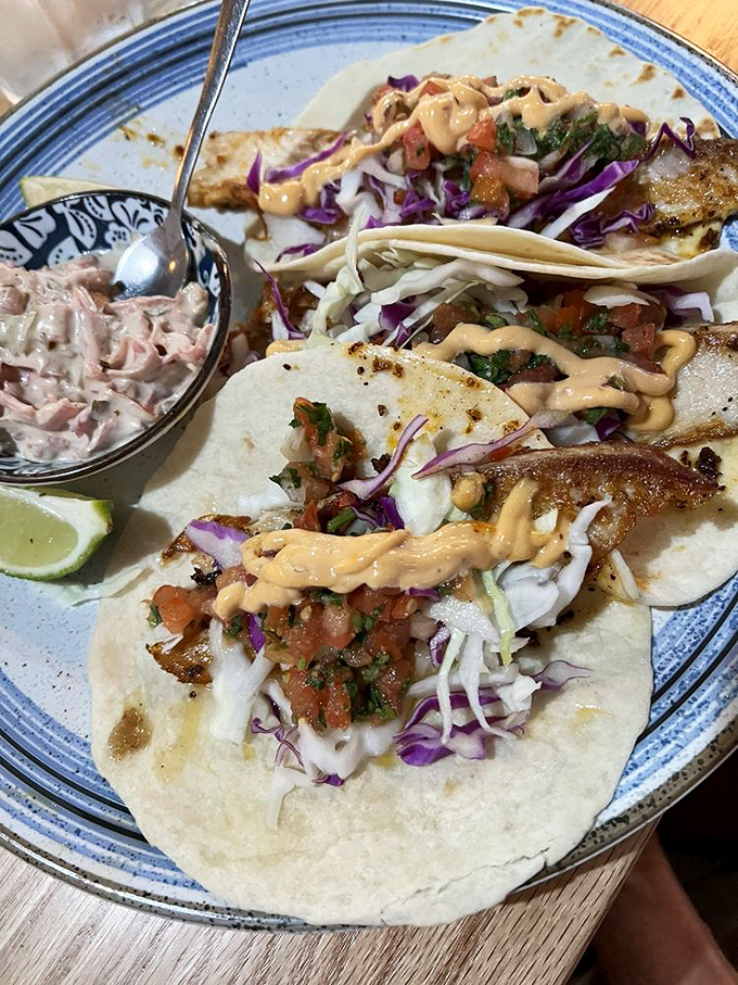 Tacos that make you question every mall food court "Mexican" option you've ever had. The pickled onions add that perfect zing that separates the authentic from the merely adequate.