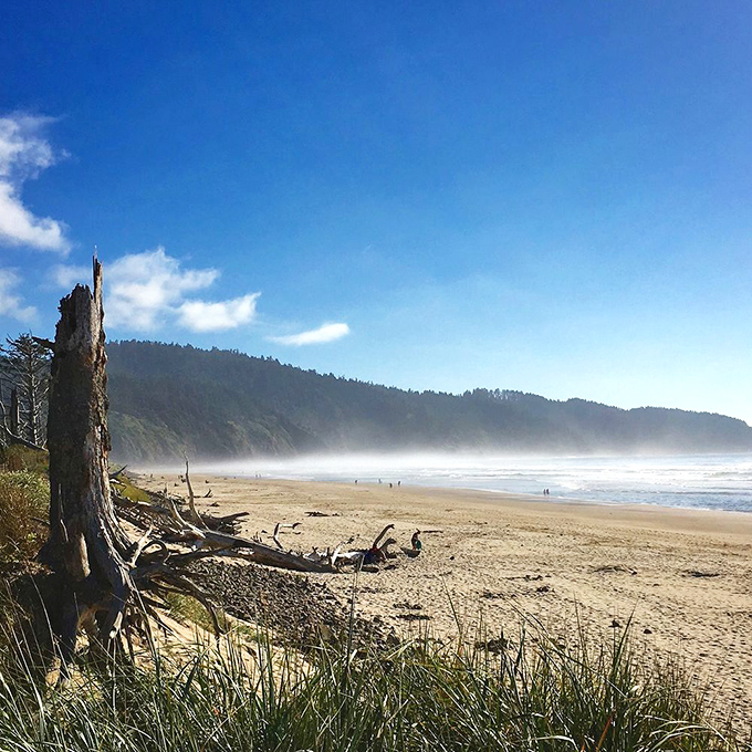 Morning fog plays hide-and-seek with the coastline. Like life's best moments, the view reveals itself only to those patient enough to wait.