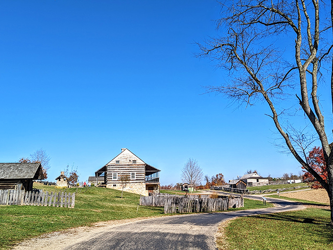 The Frontier Culture Museum's authentic farmsteads tell the story of early settlers without the inconvenience of dysentery or wolf attacks.