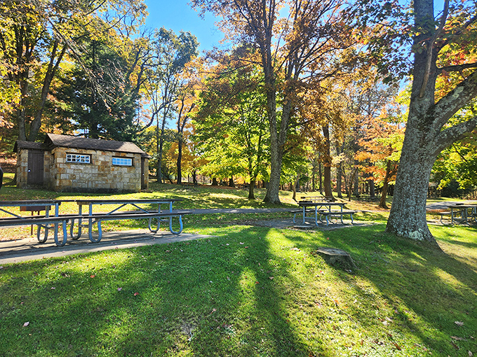 Under a canopy of trees at Herrington Manor State Park, picnic tables invite you to unplug where cell service conveniently can't find you.