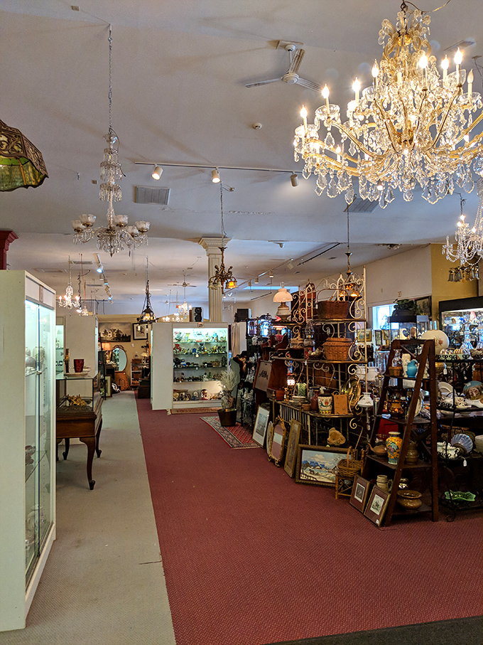 Long corridors of possibility stretch before you, each aisle a different chapter in the book of "Things I Didn't Know I Needed."