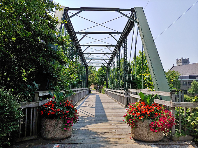 Winter transforms Cedar Creek into a postcard-perfect scene where the water refuses to freeze, stubbornly flowing while everything else takes a seasonal nap.