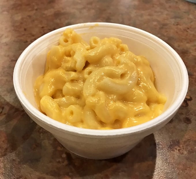 Mac and cheese that doesn't apologize for being exactly what it is—comfort in a cup, with no fancy truffle oil or artisanal breadcrumbs getting in the way.