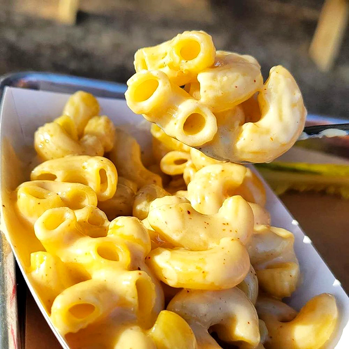 Mac and cheese that achieves the perfect balance between creamy and cheesy. Comfort food that hugs your soul from the inside.
