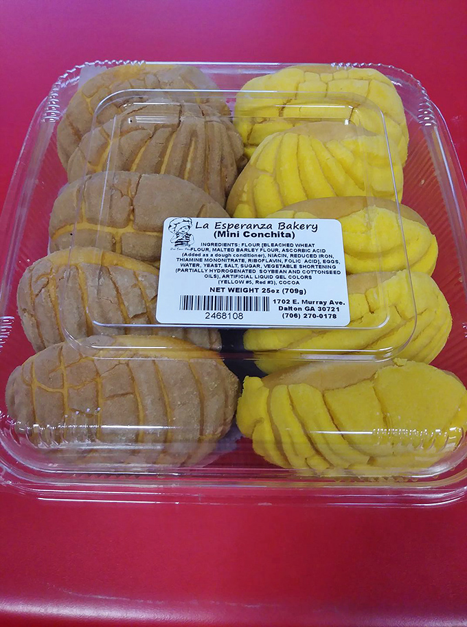 Mini conchas in their plastic container &ndash; like edible seashells from an ocean of flavor, these traditional Mexican sweet breads come in classic vanilla and chocolate.