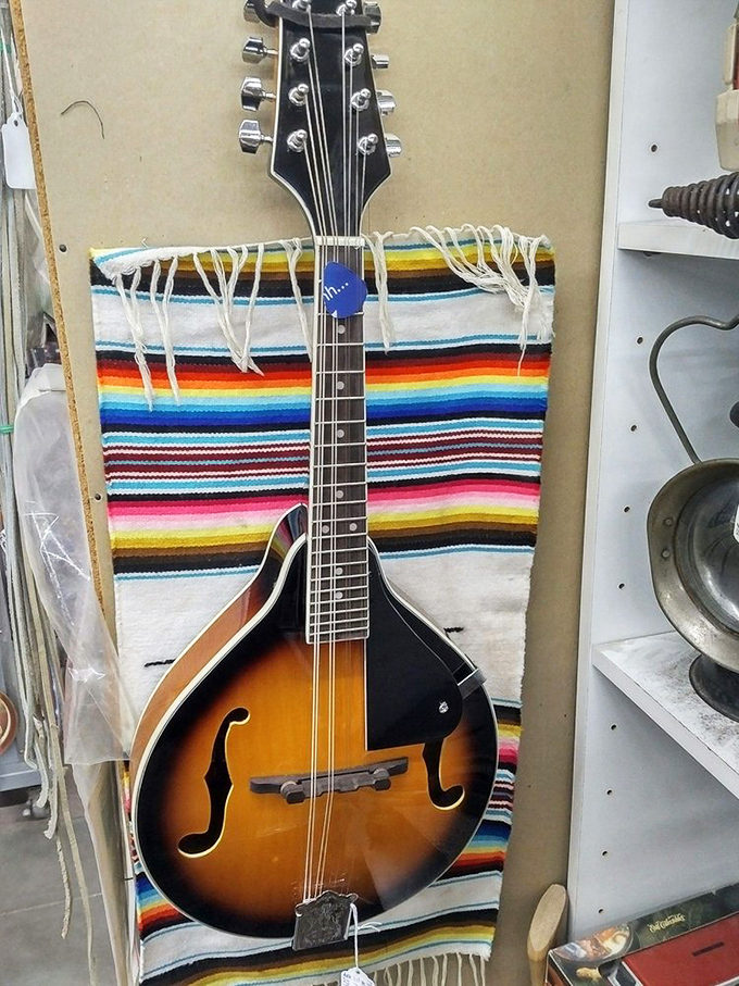 This mandolin has likely serenaded more genuine moments than any Spotify playlist. Instruments don't just play music; they carry stories.