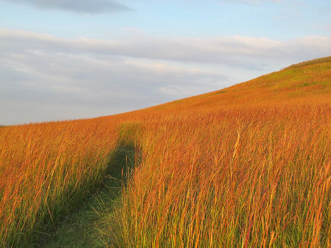 The Flint Hills' golden prairie grasses wave like an amber ocean. No wonder early settlers thought they'd discovered heaven on earth.